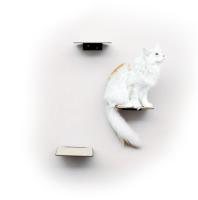 China Standard Copper Cat Wall Plate Shelves Steps for Wall Mounted Cat Scratching Platform for sale