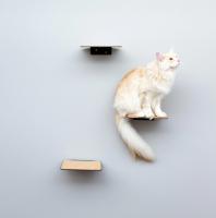 China Standard Copper Cat Wall Plate Shelves Steps for Wall Mounted Cat Scratching Platform for sale