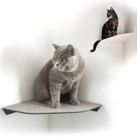 China Wall-Mounted Cat Shelf Modern Metal Cat Room Seat with Pre-Drilled Installation for sale