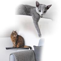 China Wall Mount Pre Drill Cat Shelves Single-Side Bracket Wall Furniture with Felt Mat for sale