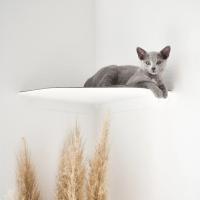 China Keep Your Cat Active and Healthy with Yellow Floating Cat Wall Shelves Steel Perches for sale