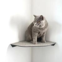China Steel Wall Cat Climbing Shelf with Copper Perches and Scratching Post Heavy Duty Bracket for sale