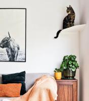 China Steel Wall Cat Climbing Shelf with Copper Perches and Scratching Post Heavy Duty Bracket for sale