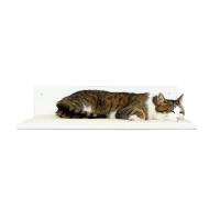 China Standard Cat Climbing Furniture with Black Powder Coated Pet Hammock and Pet Condo for sale