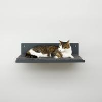 China Standard Cat Climbing Furniture with Black Powder Coated Pet Hammock and Pet Condo for sale