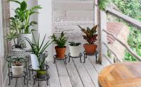 China Modern Design Black Iron Plant Stand for Indoor Outdoor Plants 5mm Thickness Rustproof for sale
