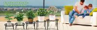 China Modern Design Black Iron Plant Stand for Indoor Outdoor Plants 5mm Thickness Rustproof for sale