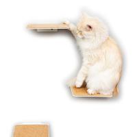 China Black Powder Coated Indoor Cat Wall Perch Furniture 20x20cm Steel Cat Ladder Stairs for sale