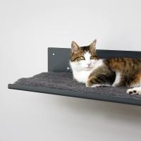 China Black Powder Coated Indoor Cat Wall Perch Furniture 20x20cm Steel Cat Ladder Stairs for sale