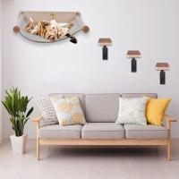 China Metal Support Cat Wall Climbing Steps A Functional and Stylish Choice for Your Cat for sale