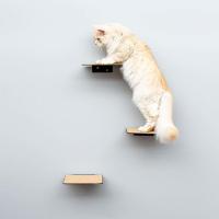 China Black Powder Coated Cat Climbing Steps Wall Pet Furniture Sturdy Iron Cat Stairs for sale