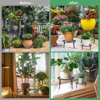 China Metal Flower Pot Stand Black Steel Vintage Powder Coating Plant Pots Planters Rack for sale