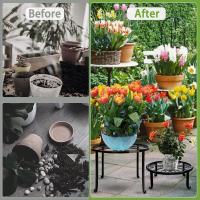 China Vintage Powder Coated Black Metal Steel Flower Pot Stand Shelf for Home and Garden for sale