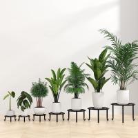 China Vintage Design Style Metal Flower Pots Powder Coated Planters for Garden Home Display for sale