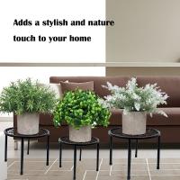 China Indoor Display of Multiple Plants with Heavy Duty Decent Metal Flower Stand Pot Stands for sale