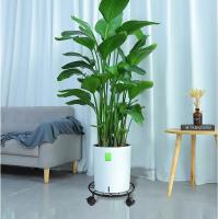 China Indoor and Outdoor Plant Dolly Rolling Stand for 10.2 and 12 Inch Pots Perfect for Office for sale