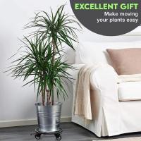 China Sturdy Rolling Plant Stand Heavy-Duty Wrought Iron Plant Dolly for Floor Boughpot for sale