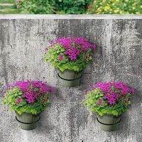 China Supporting Fixed Shelves Metal Bracket Hook Hangers Flower Pot Holder Wall Mounted Set for sale