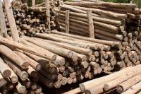 China Long-Lasting Black Railway Sleeper Wood Tooth Nail Plate for Secure Connections for sale