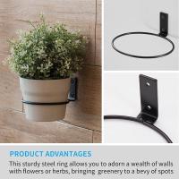China Steel Plant Stand Hanging Bracket for 8 Inch Wall Mounted Plant Holder Ring for sale