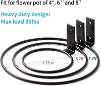 China Steel Plant Stand Hanging Bracket for 8 Inch Wall Mounted Plant Holder Ring for sale