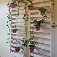 China Steel Plant Stand Hanging Bracket for 8 Inch Wall Mounted Plant Holder Ring for sale