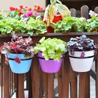 China 8 Inch Wall Mounted Plant Holder Ring Metal Flower Pot Hangers with Hanging Bracket Hooks for sale