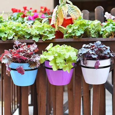 China 8 Inch Wall Mounted Plant Holder Ring Metal Flower Pot Hangers with Hanging Bracket Hooks for sale
