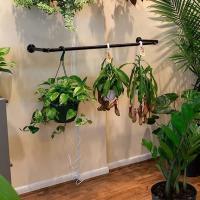 China Easily Assembled Hanging Plant Holder for Home Decor Indoor Outdoor Herb Garden Black for sale