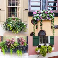 China Wall Mount Flower Box Holder with Hanging Plant Bracket Black or White Material for sale