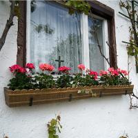 China Black Powder Coated Retractable Plant Hanger Suitable for Indoor and Outdoor Plants for sale