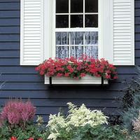 China Steel Bracket Window Box Planter with Black Powder Coating and Butterfly Holder Box for sale