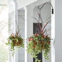 China Standard Black Swivel Plant Hook for Hanging Flower Basket Wind Chime Lantern and More for sale