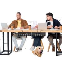 China Adjustable and Removable Cable Management Tray for Home Office Sustainable Design for sale