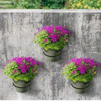 China Antique Metal Wall Hook Hanging Plant Bracket for Powder Coated Steel Q235 Grade for sale