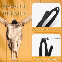 China Decorative Wall Mounted Bracket for Showcasing Deer Antelopes and Other Animal Skulls for sale