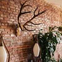China European Popular Mount Skull Hanger Deer Wall Mount Hooker for Hanging Skulls and Hooks for sale