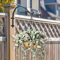 China Upgrade Your Outdoor Decor with Wall Mounted Plant Hanging Hooks and 0.45kg Ornaments for sale