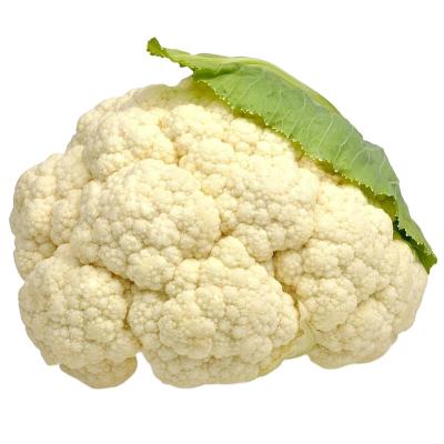 China China Fresh Vegetable Fresh White Cauliflower For Sale,New Crop Fresh Cauliflower Exporter for sale