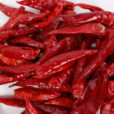 China Chilli/CHILLI/Exports Dry Red Europe and South Korea 001 for sale
