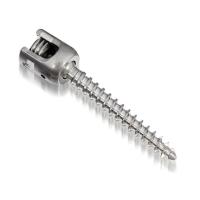 China 6.0mm Posterior Polyaxial Pedicle Screw Orthopedic Spinal Pedicle Screw Single Double Thread for sale
