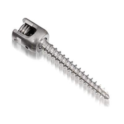 China 6.0mm Posterior Polyaxial Pedicle Screw Orthopedic Spinal Pedicle Screw Single Double Thread for sale