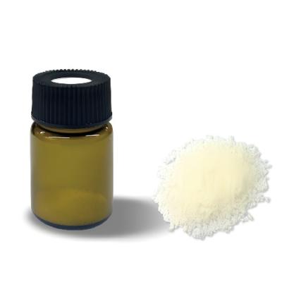 China 0.5g/0.5ml Dental Bone Graft Substitute for sale