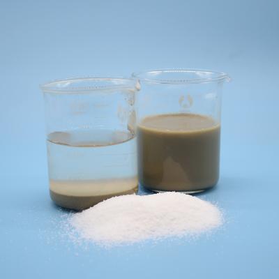 China Textile Granular Chemicals Auxiliary Polyacrylamide Anionic Powder Polymer for sale