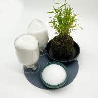 China Oilfield Anionic PAM Powder (C3H5NO)N Polyacrylamide Granule for sale