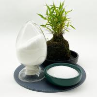 China APAM Auxiliary Agent Polyacrylamide Flocculant White Powder For Water Treatment Chemicals for sale