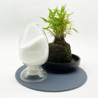 China Cationic 6 Million Polyacrylamide Powder Flocculant Cpam for sale