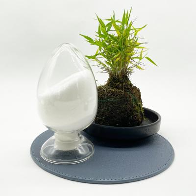 China Cationic 6 Million Polyacrylamide Powder Flocculant Cpam for sale