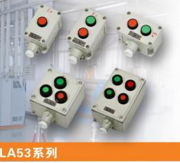 China Explosion Proof Switch with Two Twist Control Button 10A 220V/380V IP65 Rated for Hazardous Environments for sale