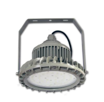 China Explosion Proof Led Light IP66 WF2 20-240W For Harsh Industrial Applications for sale